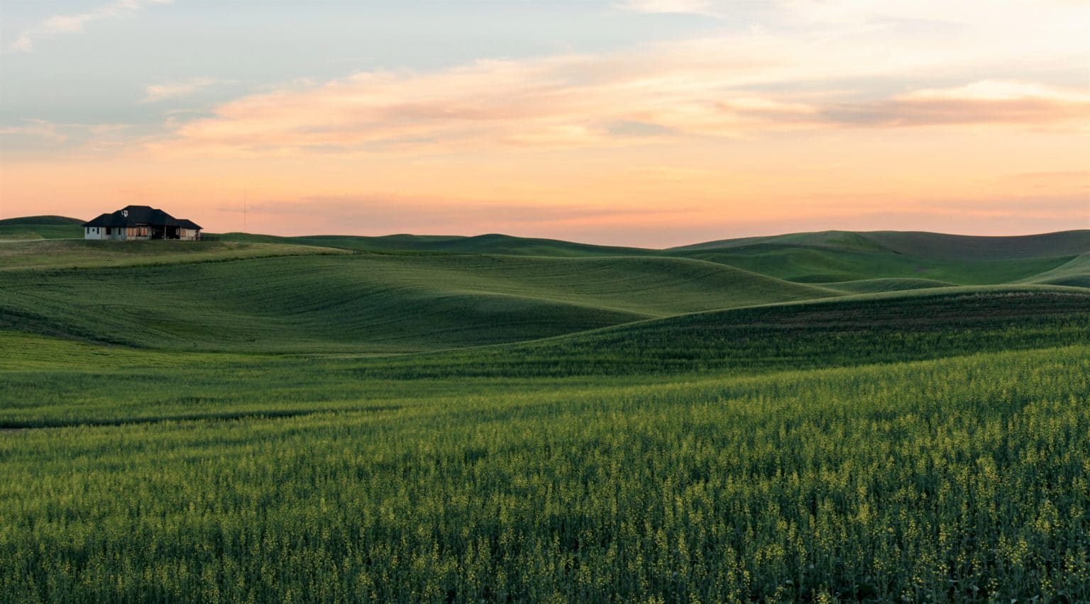 RDOF Eligible Areas Map - CostQuest Associates